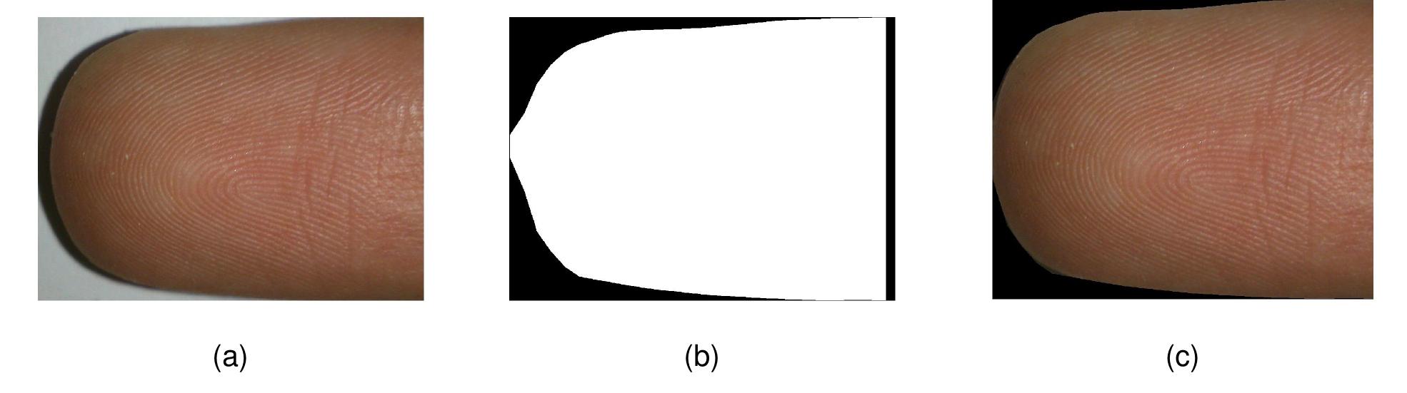6 A The Cropped Input Image B The Segmentation Mask C