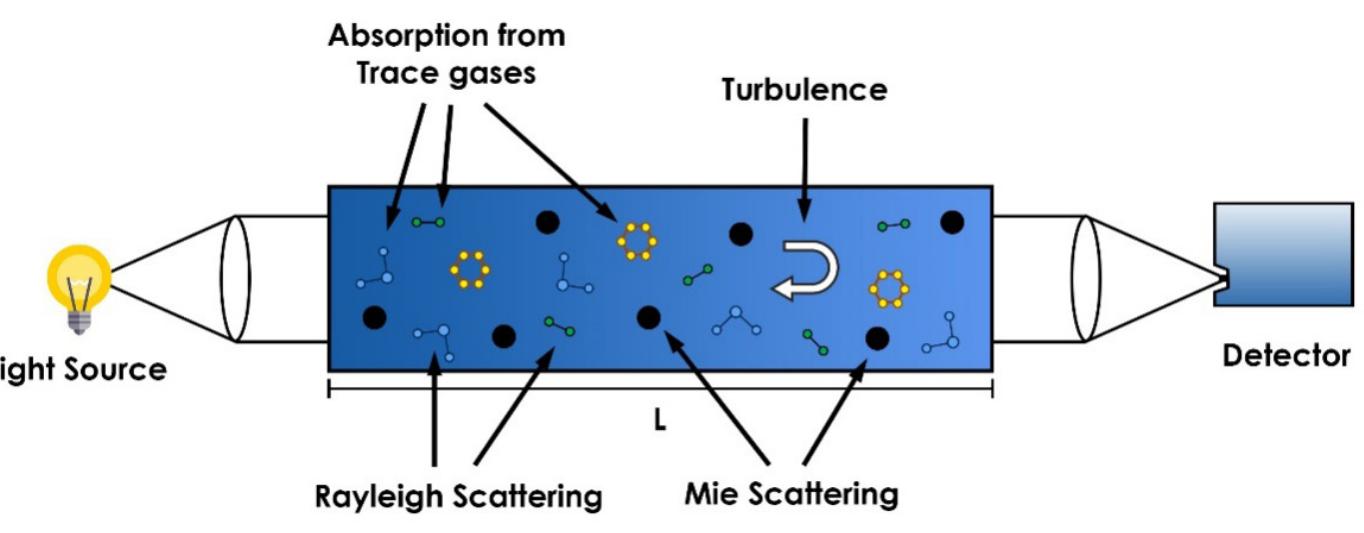 Schematic diagram of light absorption and scattering through
