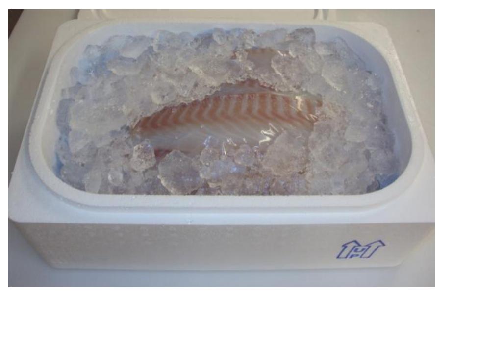 Fish is highly perishable due to its high protein content,