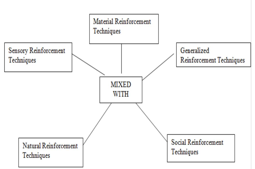 Positive social interaction reinforcement model (2019)