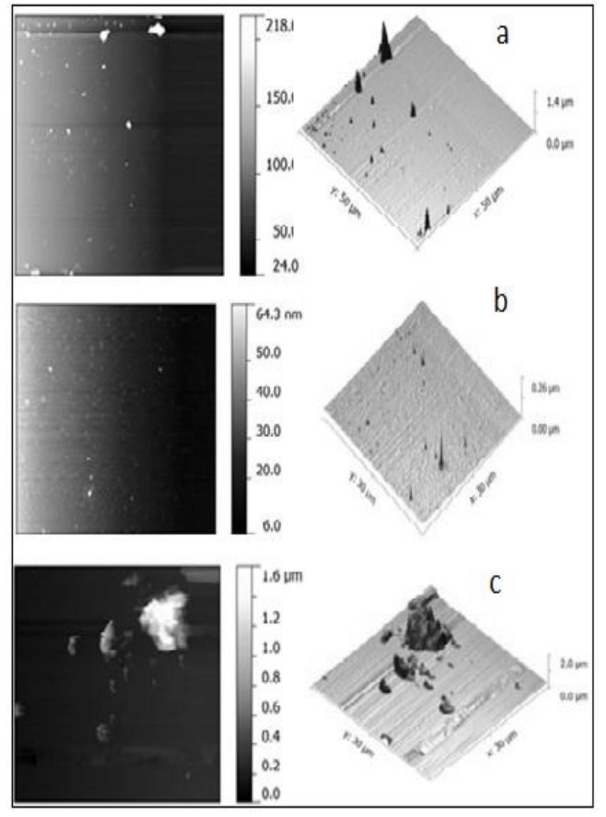 Afm images shown in figures 7 a, b and c depict