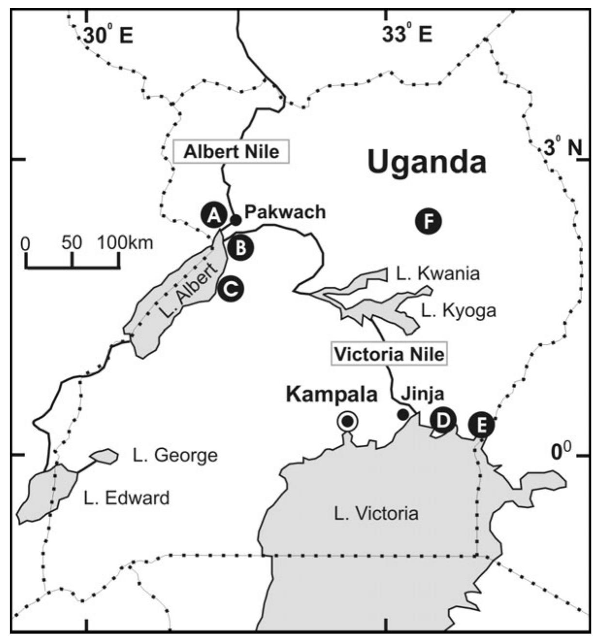 Outline map of uganda showing major lakes. the dominant