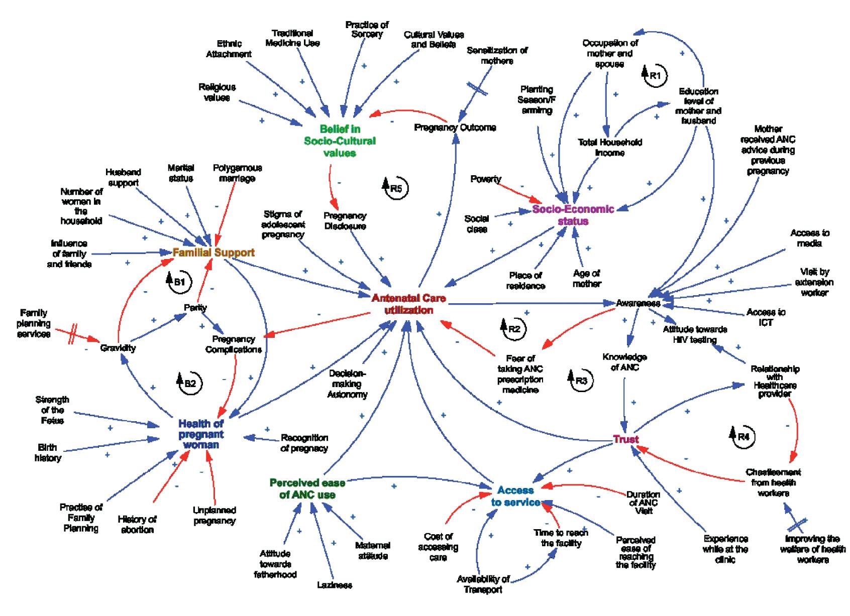 The causal loop diagram has five reinforcing loops (ri, r2,