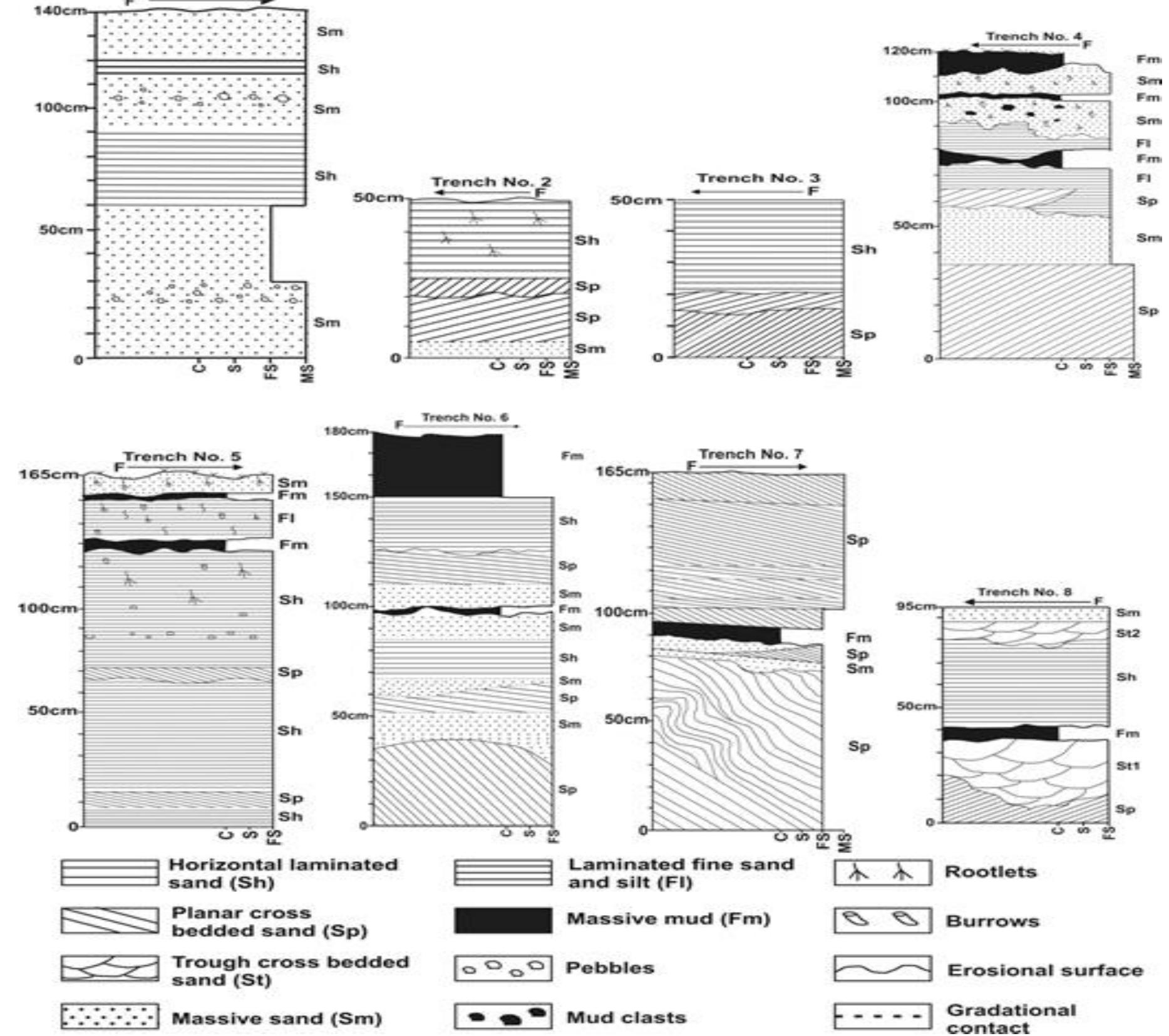 Figure 3 - Characteristics Of Alluvial Lithofacies Of The