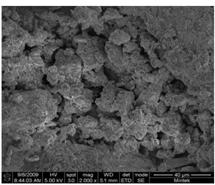 Scanning electron micrograph of a flaky sample from the wc.