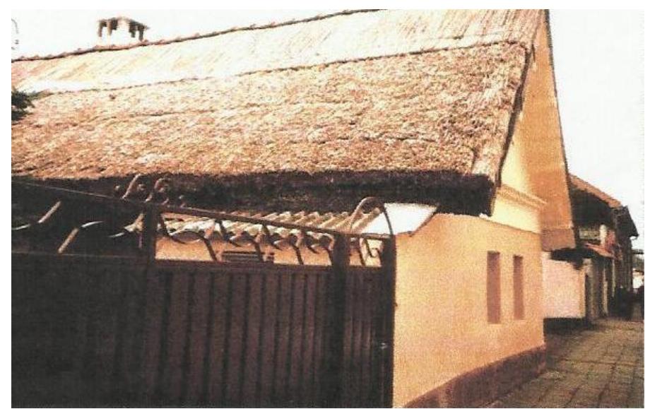 Traditional house with thatch roof, novi sad, serbia