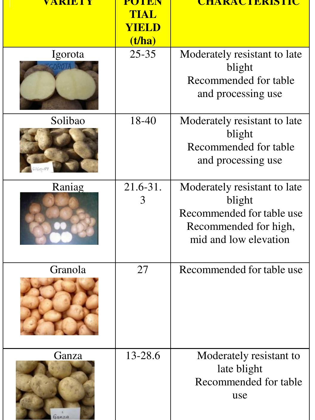 List of released potato varieties in benguet state