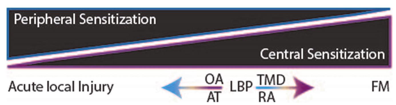 In pain conditions, peripheral sensitization and central