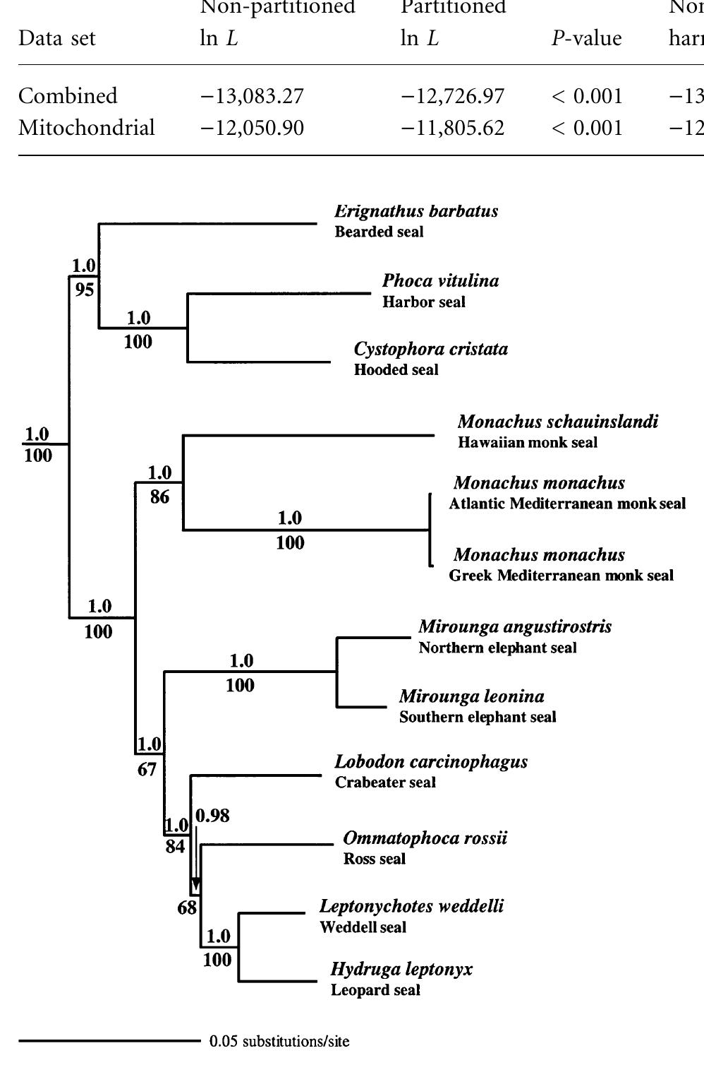 Maximum likelihood phylogeny of combined mitoch- ondrial and