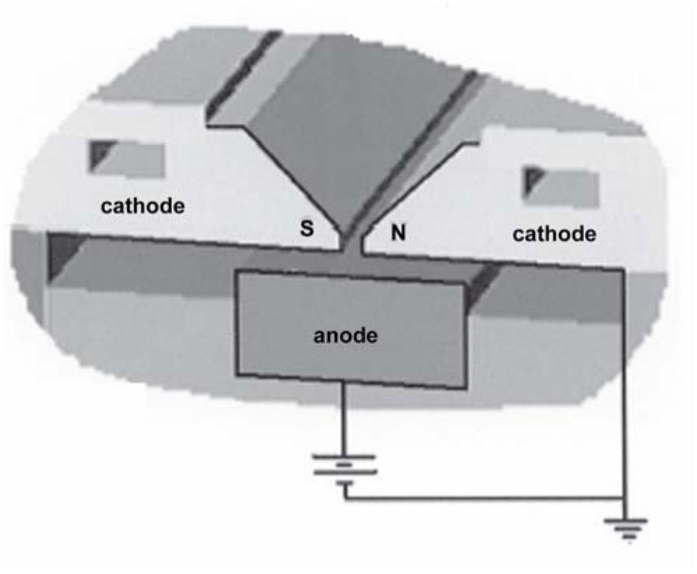 Cross section of a linear ion source operating with