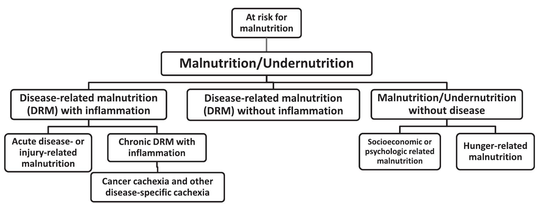 Diagnoses tree of malnutrition; from at risk for