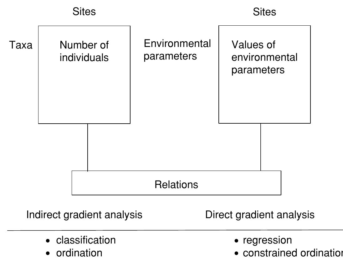 5.2 main structure of association analysis