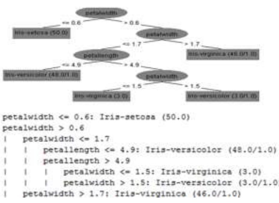Decision tree and rules during classification of iris data