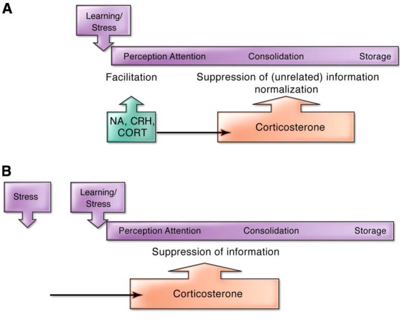 (PDF) Physiology and Neurobiology of Stress and Adaptation: Central ...