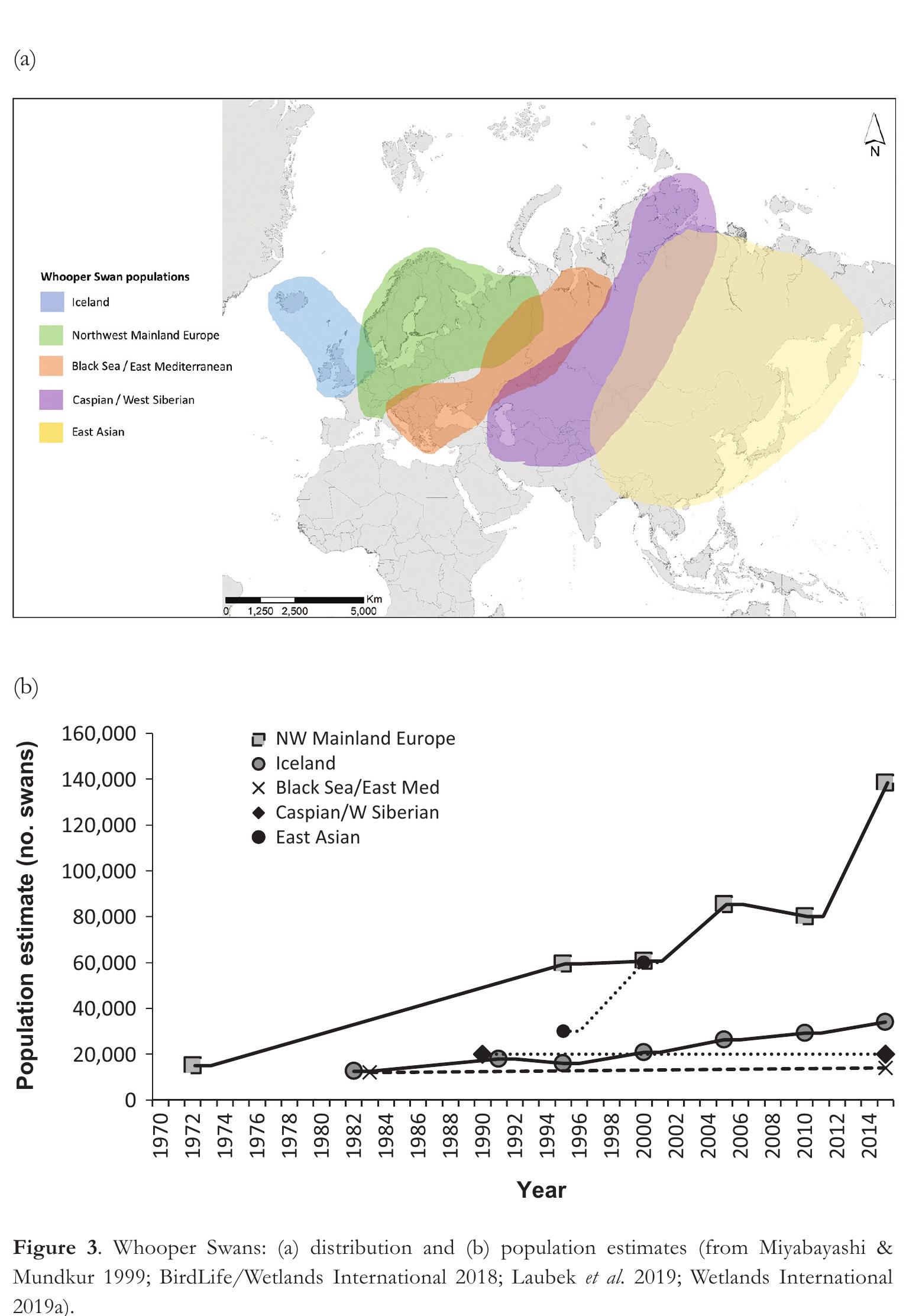 46 conservation status of the world’s swan populations