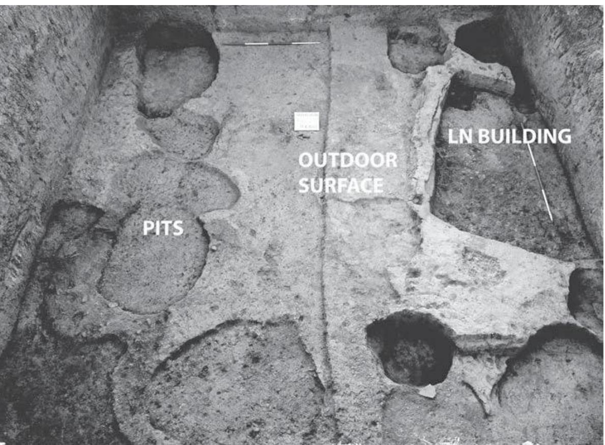 Barcin hoyuk: overview of trench l11 at the end of