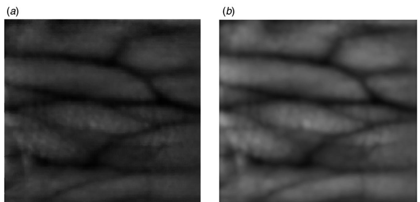 Figure 8 - Near-infrared image formation and processing for