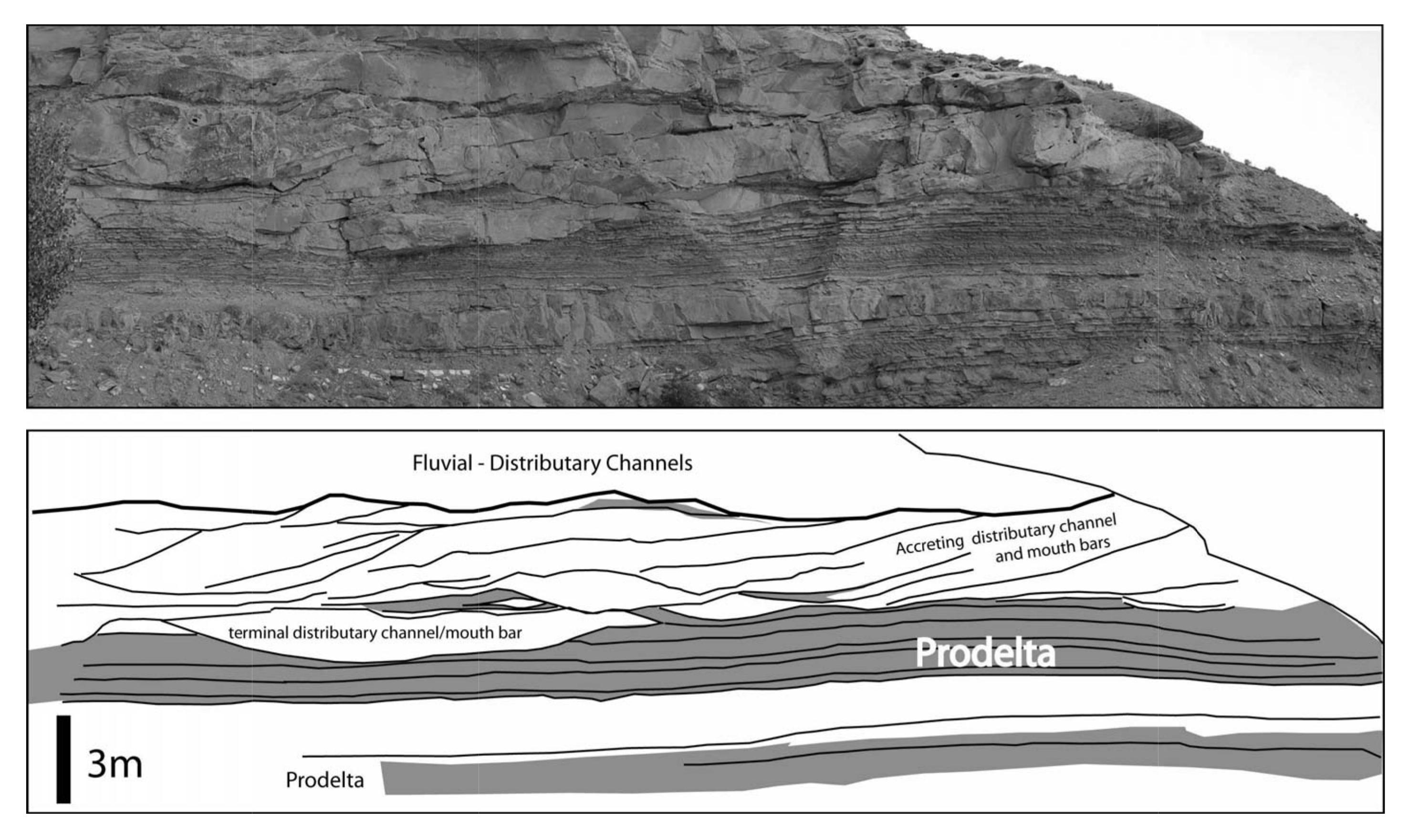 Figure 16 - Sequence Stratigraphy and Facies Architecture of