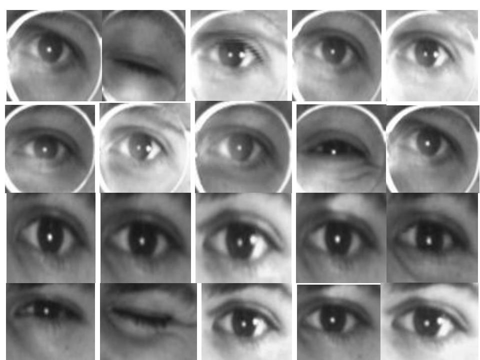Sample strict periocular region images from ar face