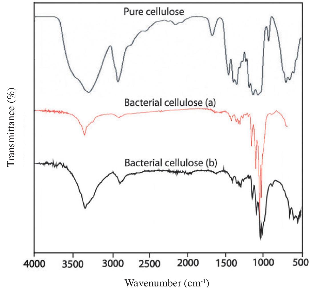 Ftir spectra of pure cellulose (micro granular cellulose)