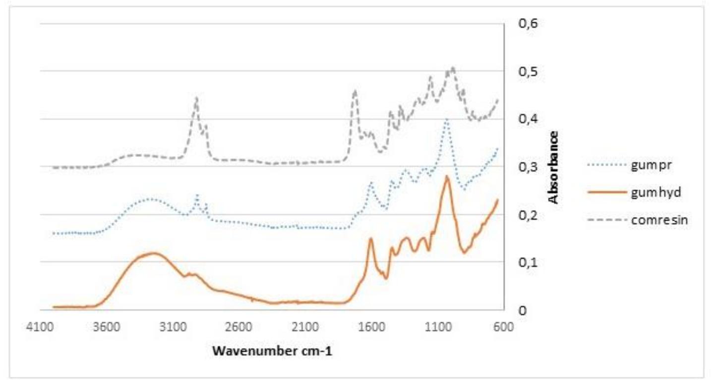 In figure 2 ft-ir spectra of labdanum gum and resin were