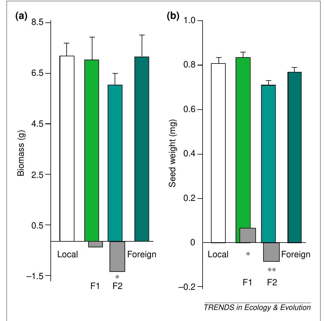Examples of heterosis and/or outbreeding depression