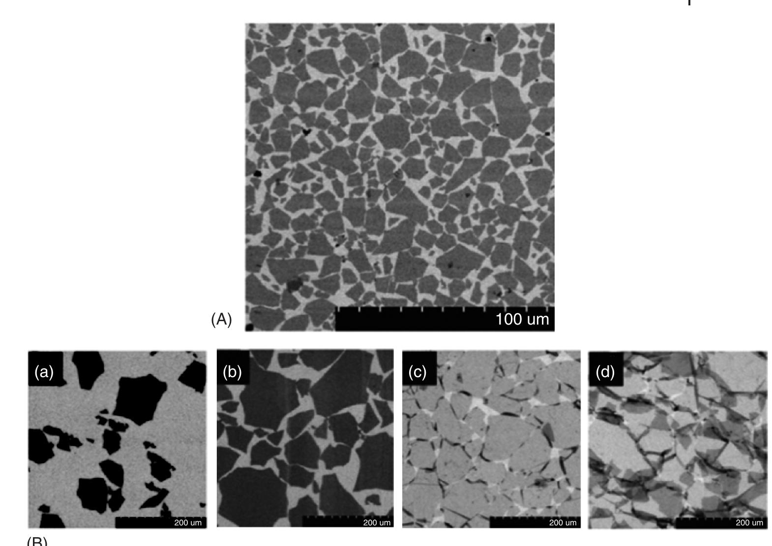 3. (a) sem (scanning electron microscope) images of highly