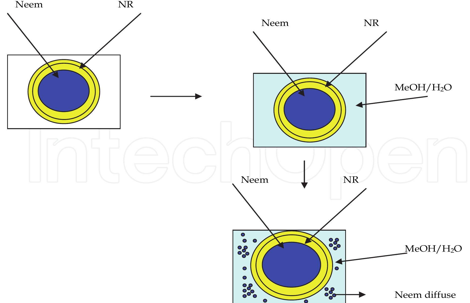 Schematic representation of swelling type controlled release