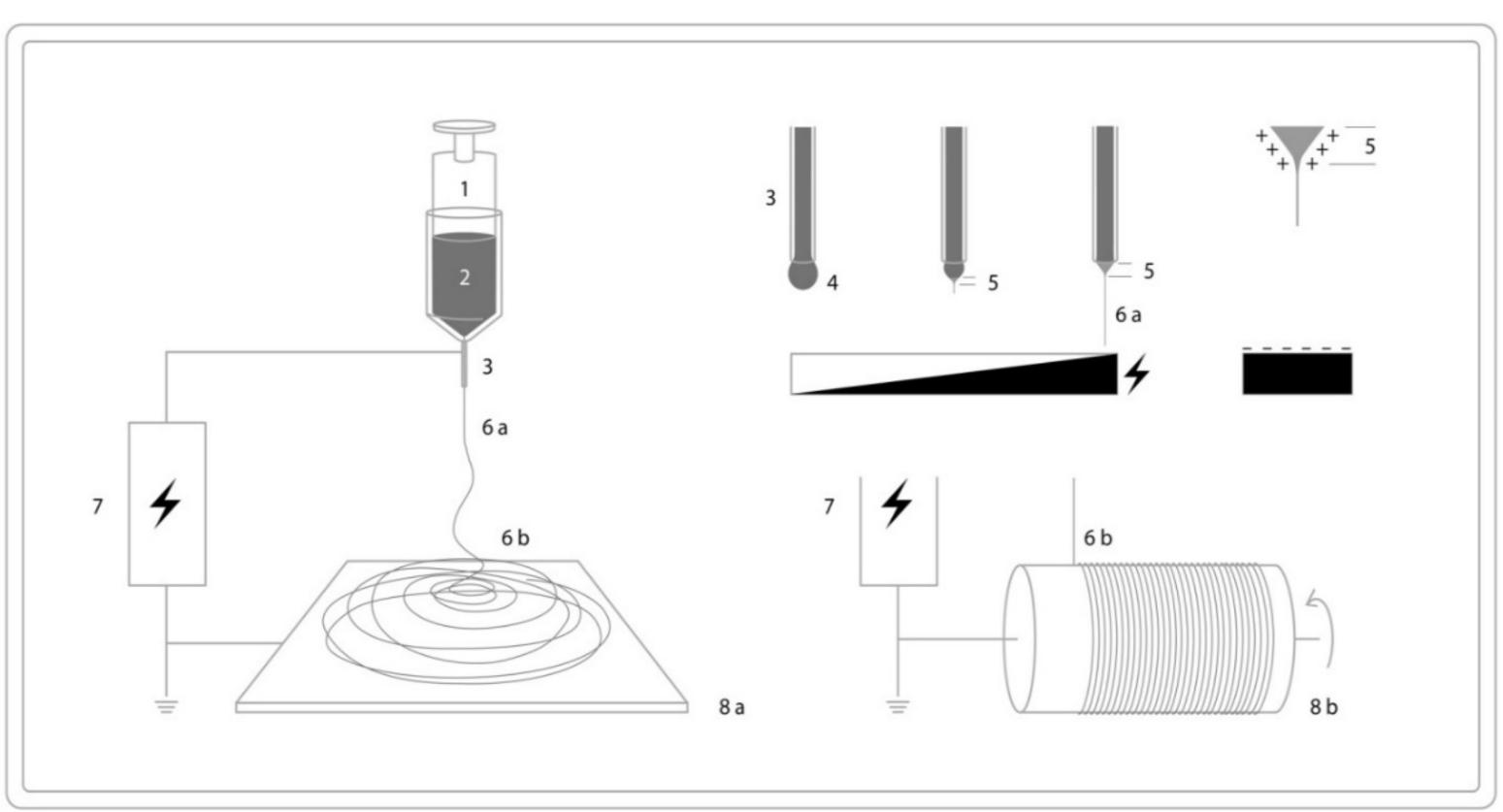 Schematic illustration of electrospinning setup: syringe