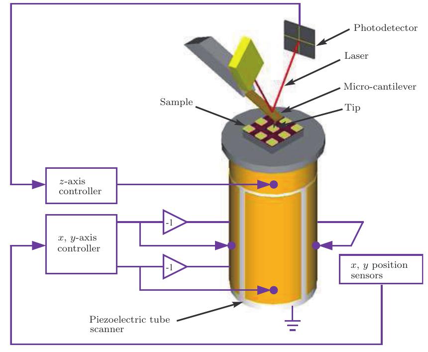 Basic afm schematic with feedback controllers. iskandar a.