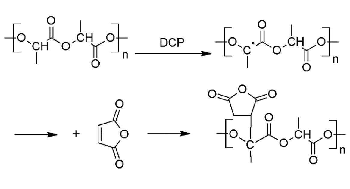 Possible mechanism of grafting mah on pla. grafting of
