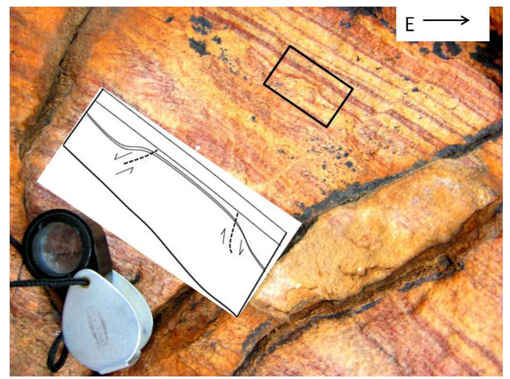 Synsedimentary semi-ductile fault with normal drag in the