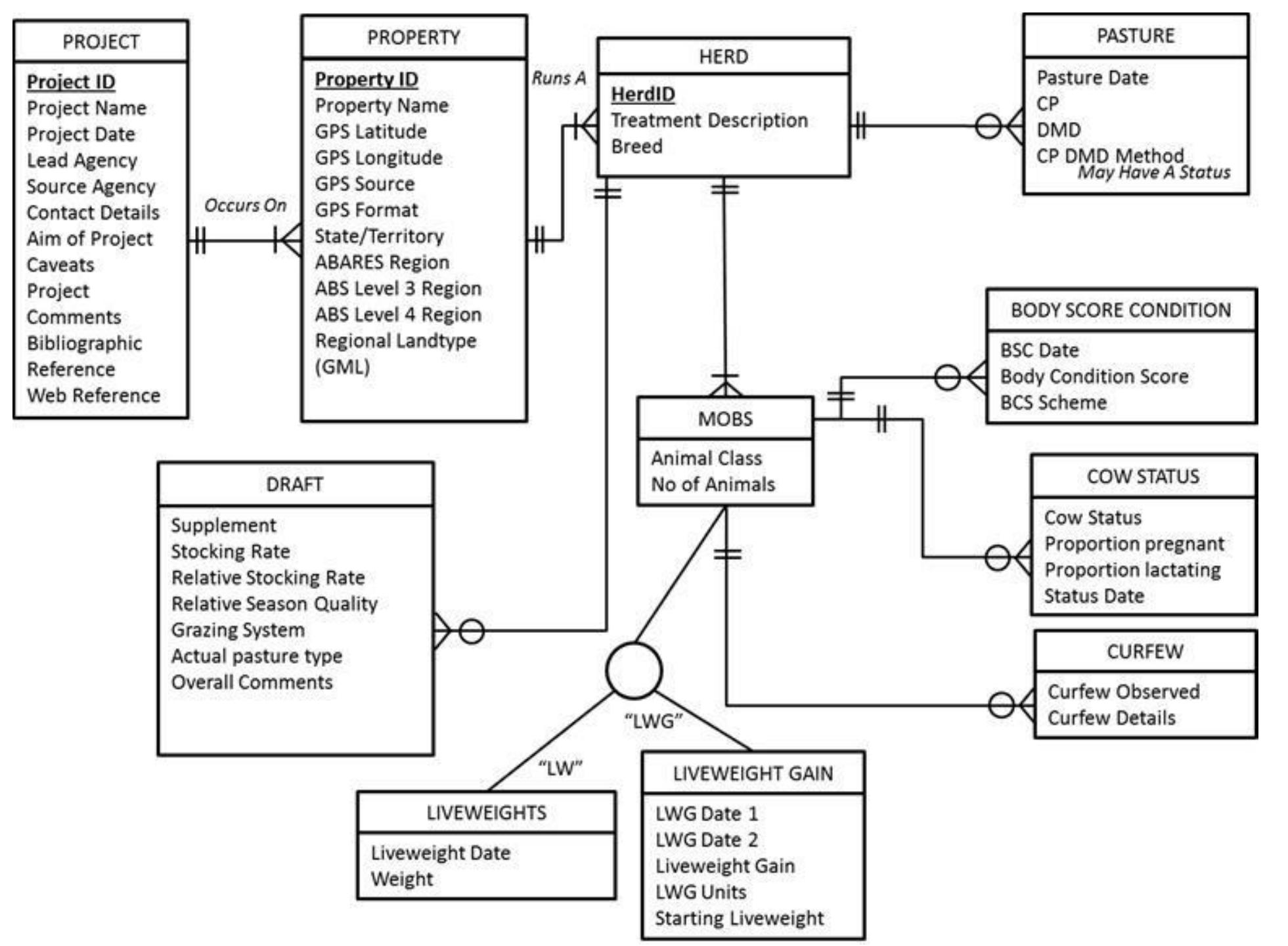 Enhanced entity relationship diagram for the relational