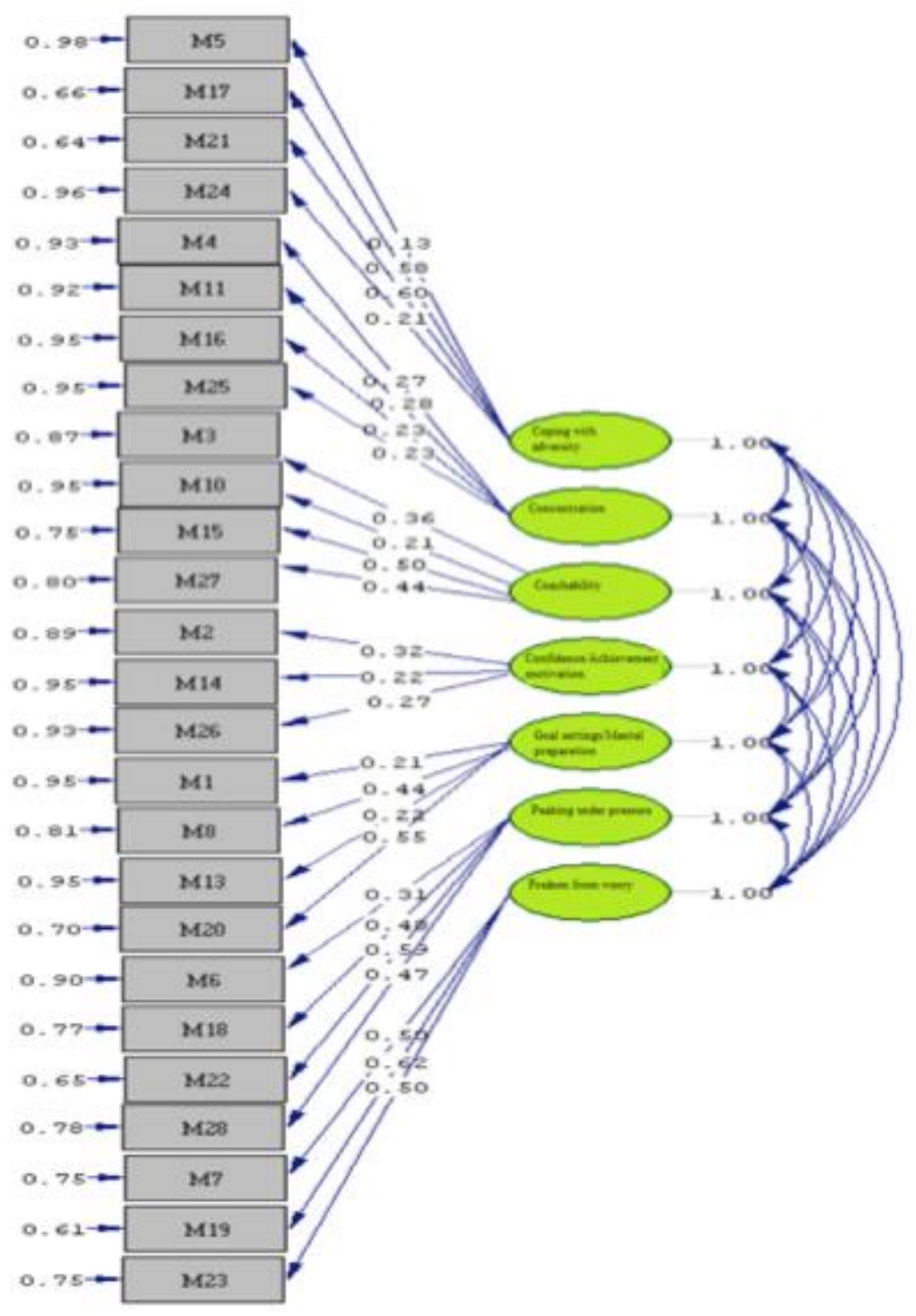 Scale’s path diagram. 0.72, test-retest reliability