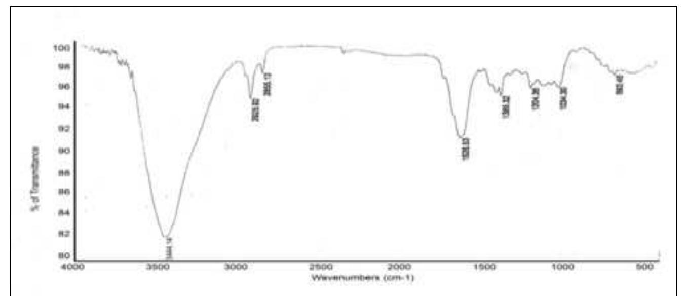 Ftir analysis: the ftir spectrum was used to identify the