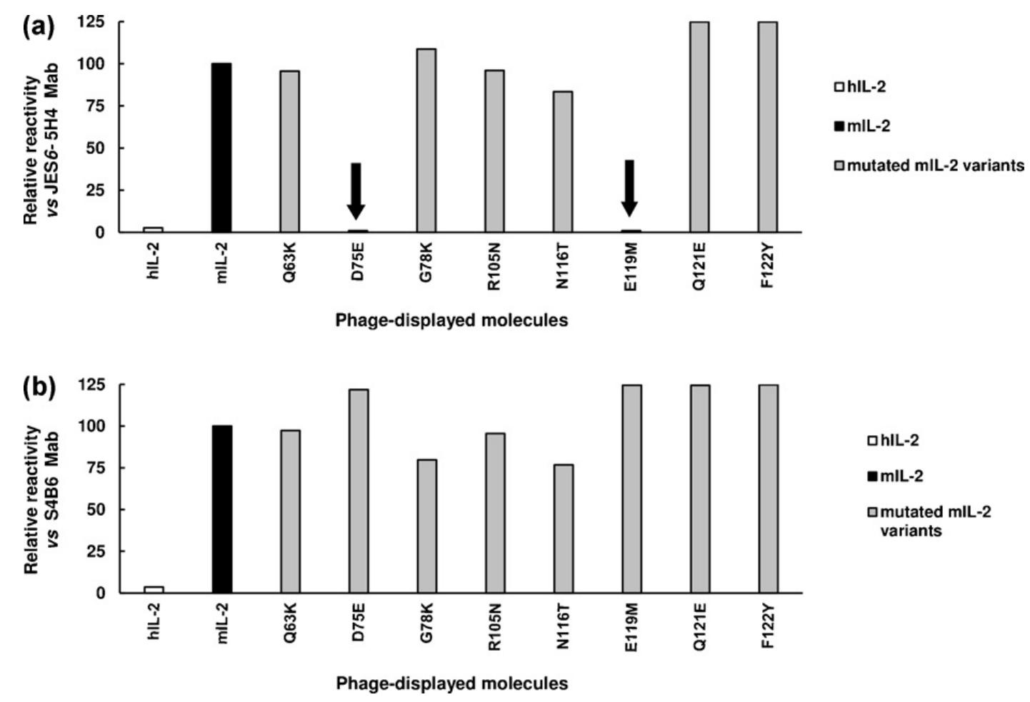Recognition of phage-displayed mil-2 variants. phages were