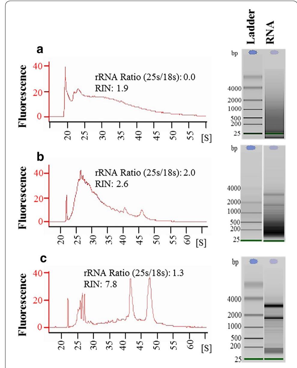 Influence of tissue fixation and embedding on rna quality.