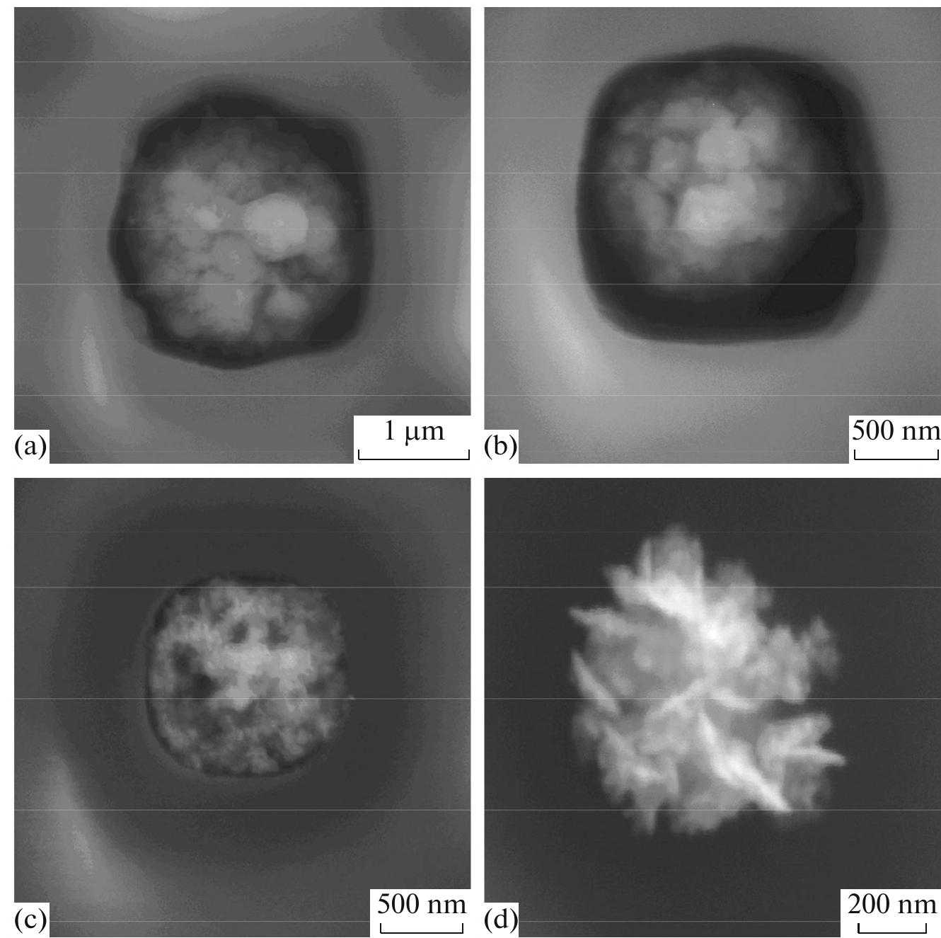 Sem images of the structure of the metal deposit after 2 min