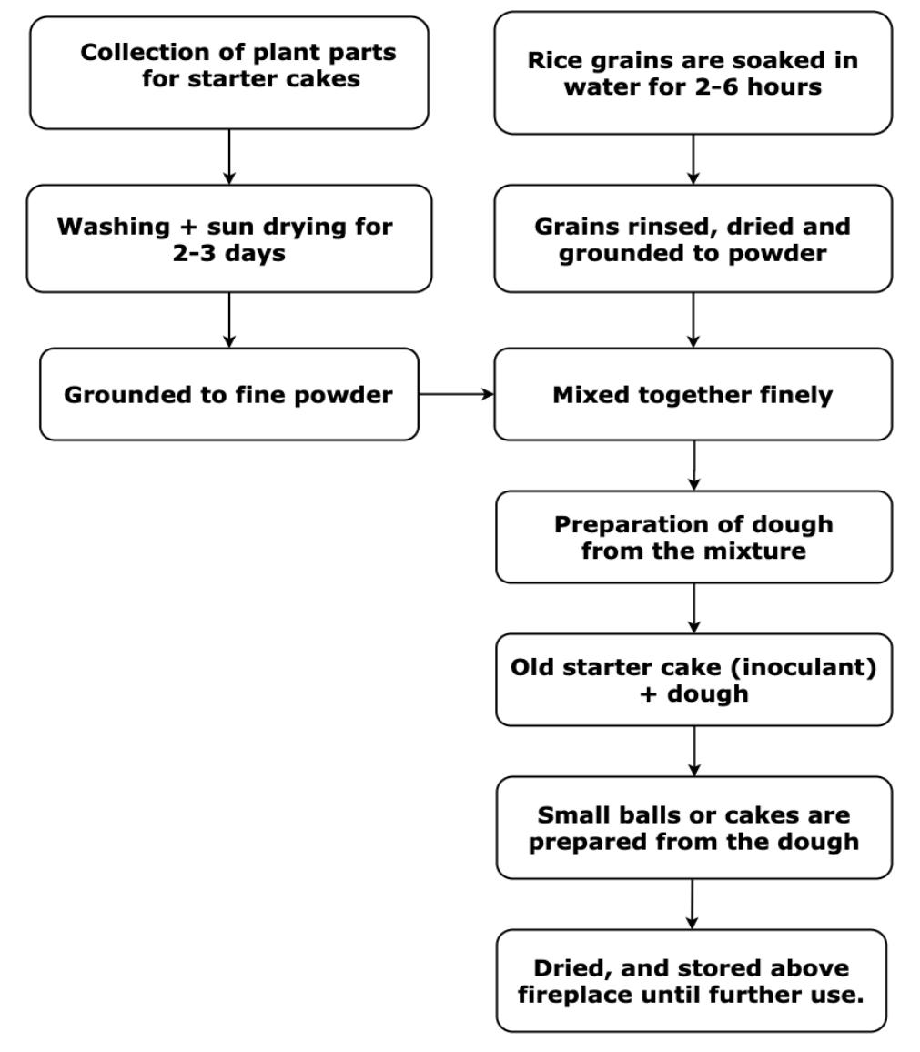 Steps for preparation of starter cakes by tribal communities