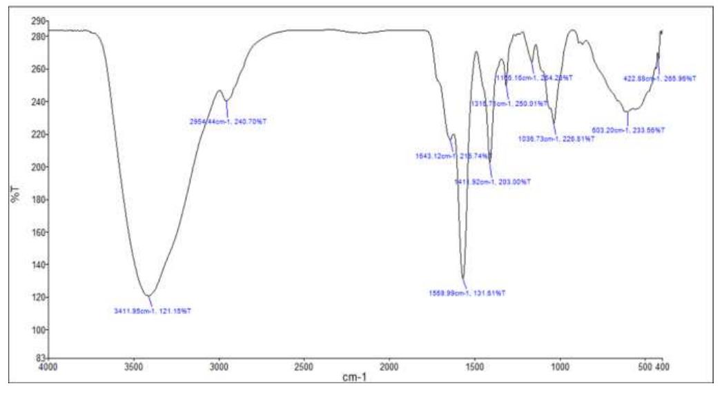 Ft-ir spectrum of paper wasp nest sample