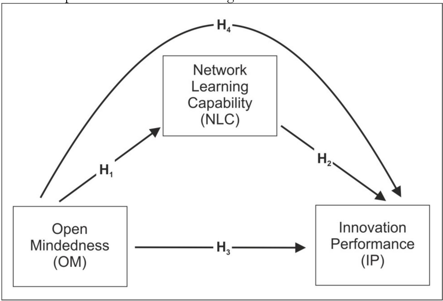 Figure 1 - The Role of Network Learning Capability in the