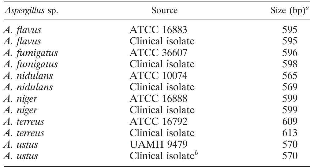 includes the complete its 1-5.8s-its 2 regions and