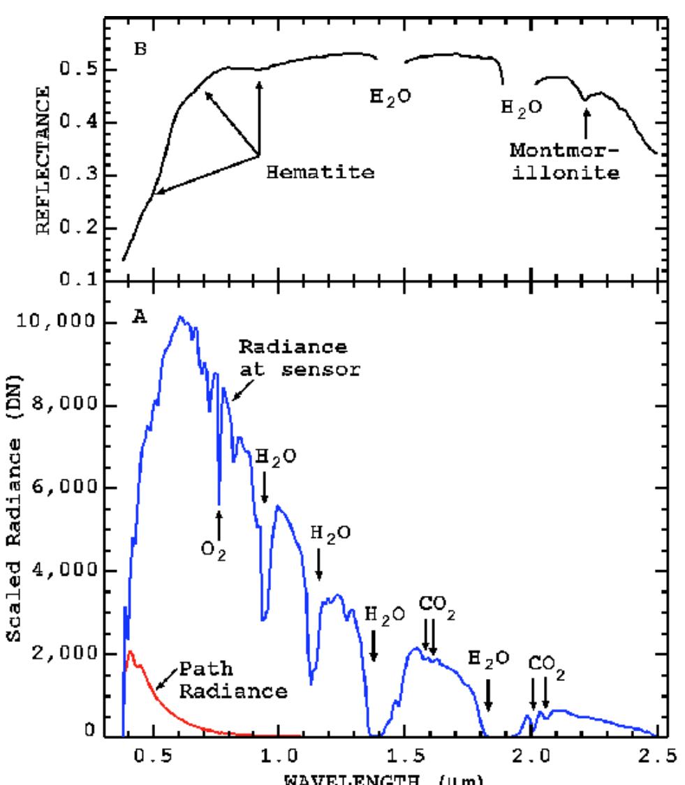 In this figure (a)- a radiance spectrum of the non-vegetated