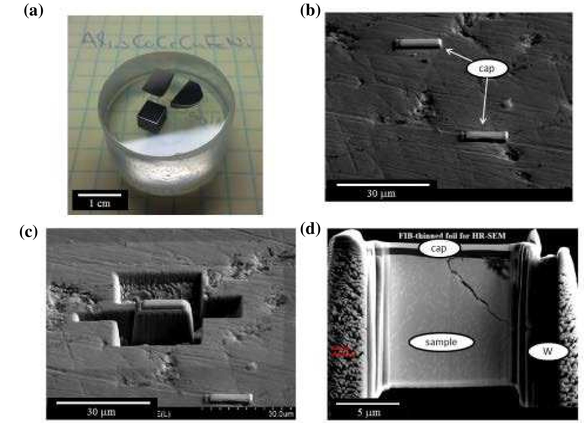 5. microscopy sample preparation. (a) a sample ingot,