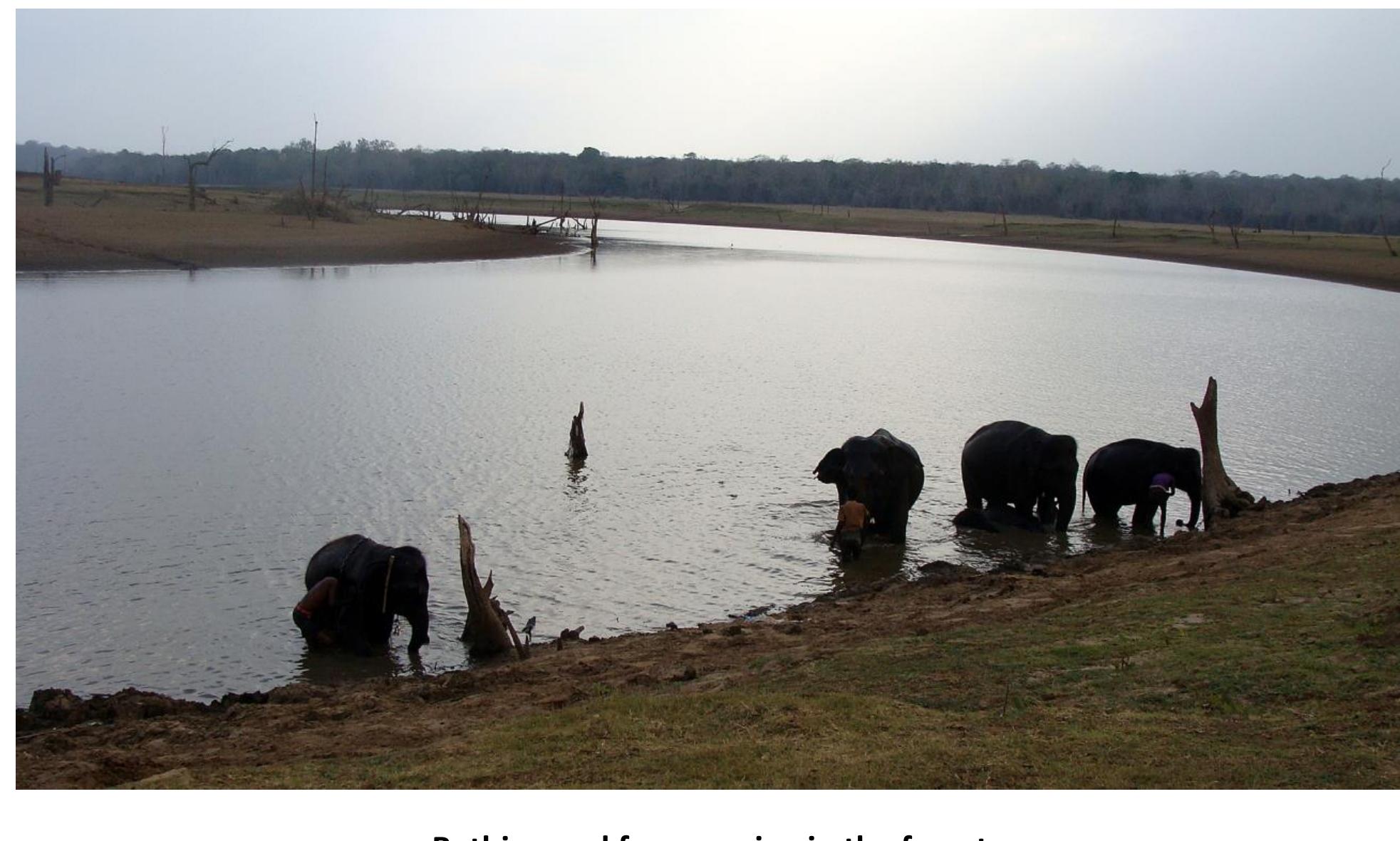 Figure 43 - Documenting Indigenous Traditional Knowledge of