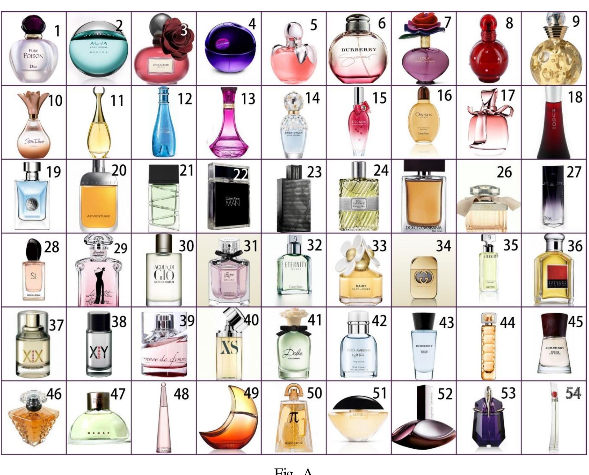 Figure 18 - Fragrance Perception Through Perfume Packaging: