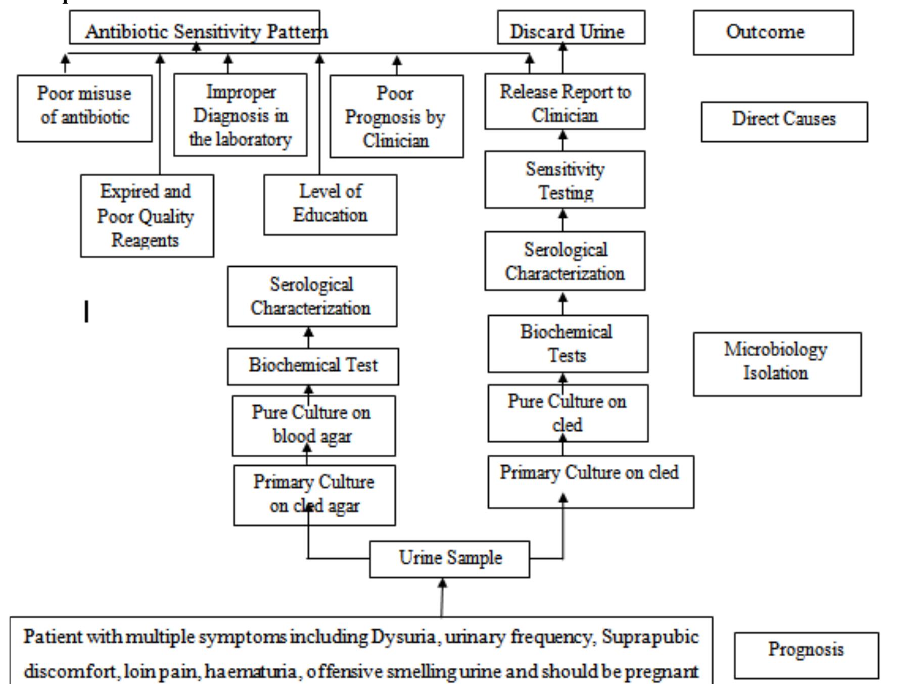 Conceptual framework hell uic heu lu ua it idol dliu