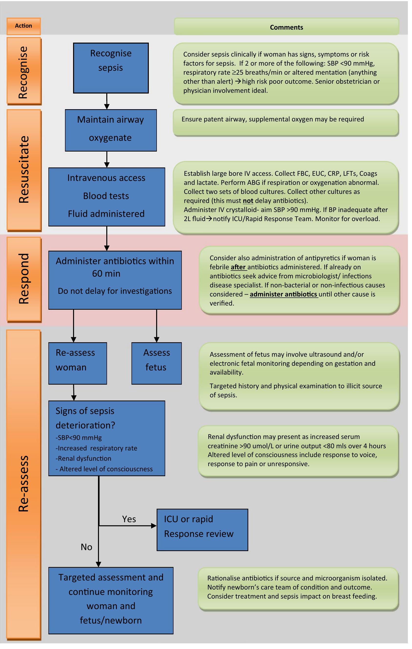 _ flowchart for the assessment and management of sepsis in