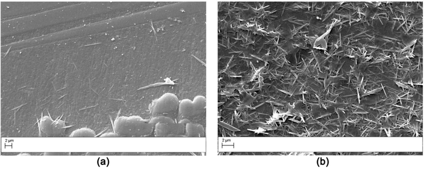 Sem morphology of the interlaminar region for the laminates