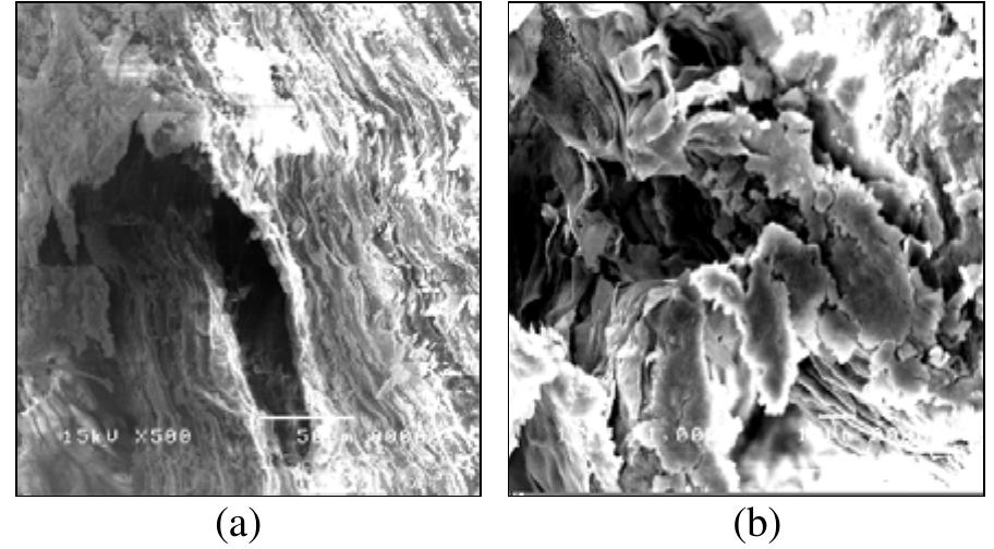 -2. an example of an sem image using 500x magnification of